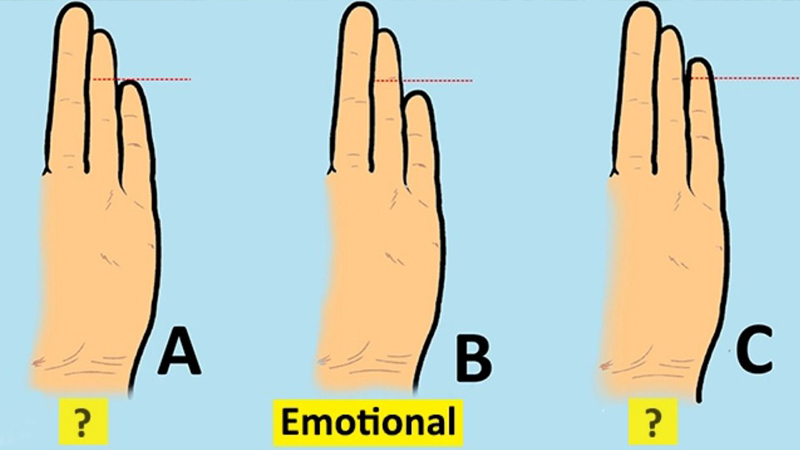 Palmistry of the Pinky Finger Can Reveal Your Personality, This Might ...