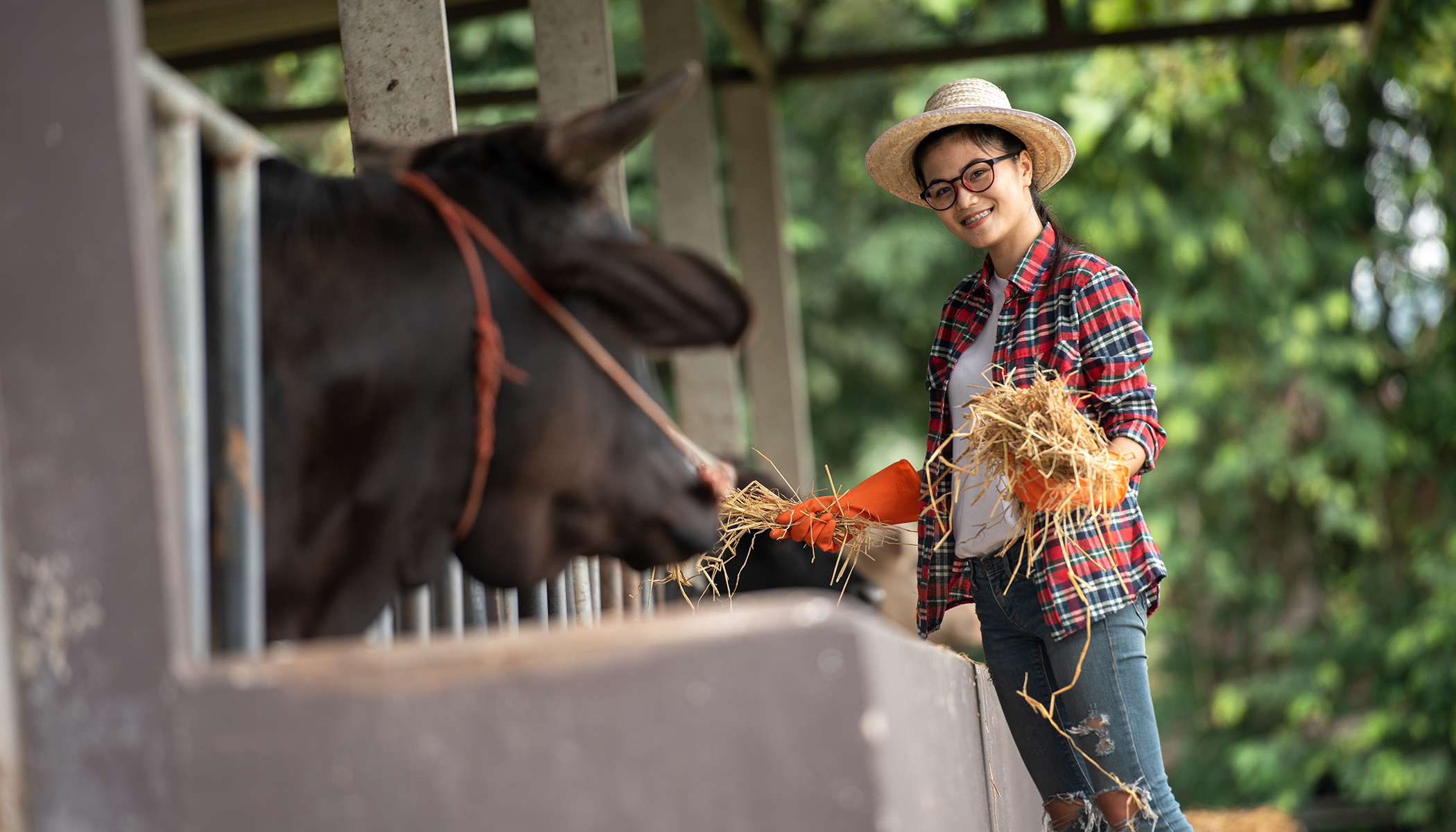 Cattle, Chicken, and Classrooms: the Ohio School Where Students Learn ...