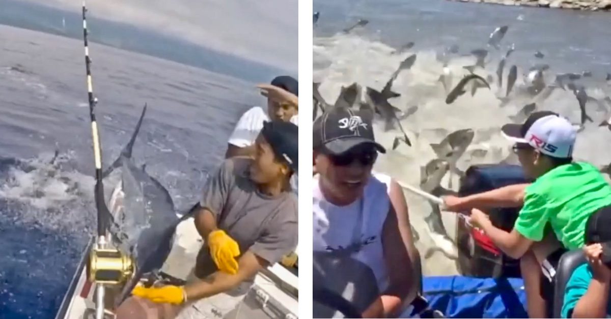 Insane Fishing Moments Caught on Camera