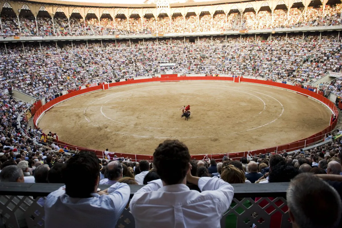 Bull Kills 60-Year-Old Assistant at Spanish Bullfighting Ring