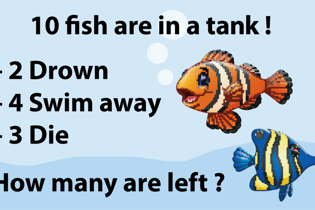 Fish Math Riddle Is Driving People Crazy: Can You Solve It in Under 60 ...