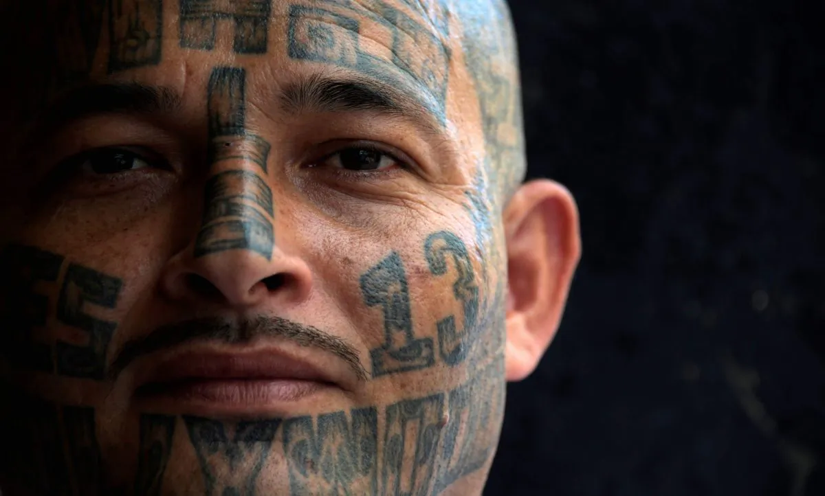 74 Percent of MS-13 Gang Members Prosecuted Since 2016 in US Illegally ...