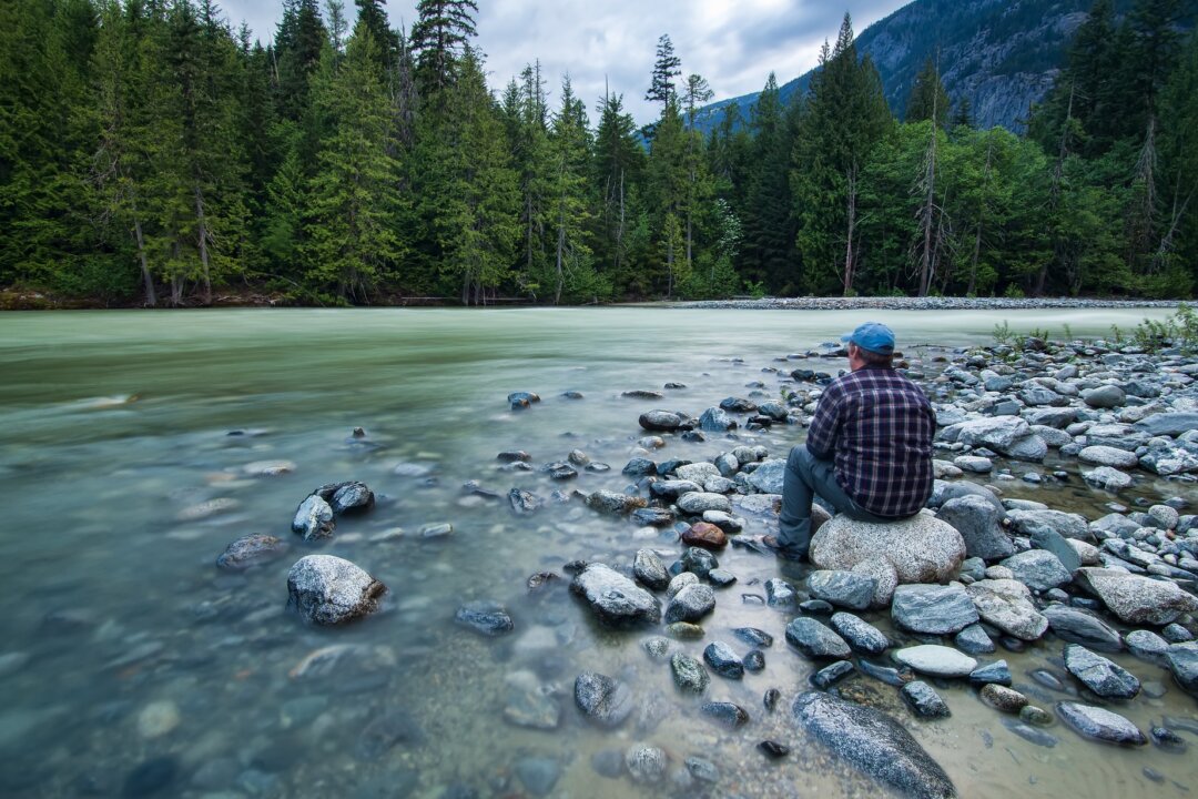 Meditations on the Wisdom of Inaction | The Epoch Times