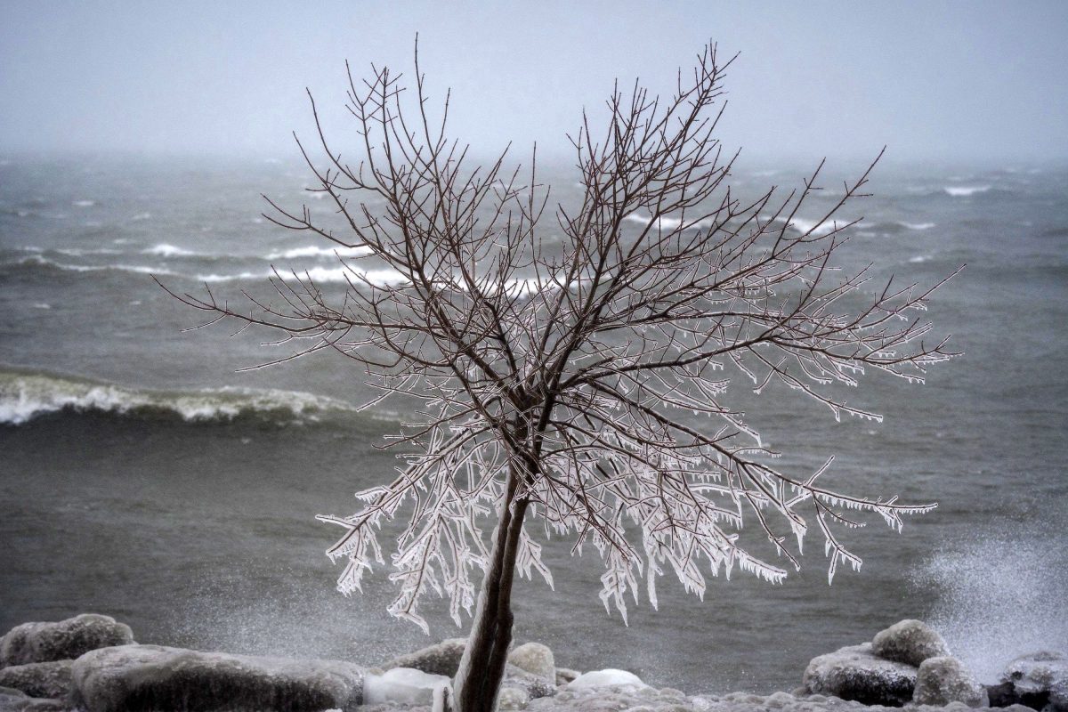 Average Fall, Cold Winter Ahead, Weather Network Predicts