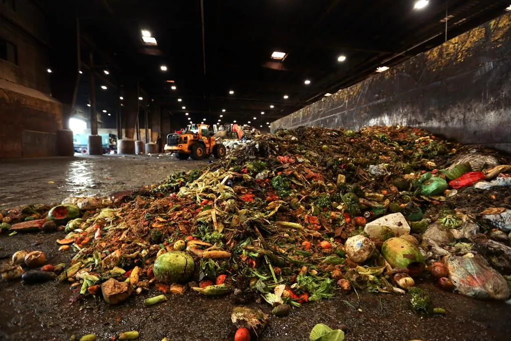 Scientists Audit Garbage to Assess Household Food Waste