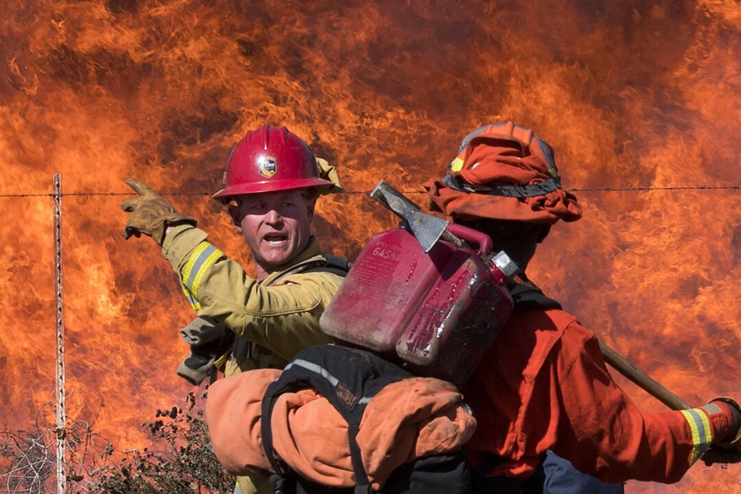 It’s Boom Times for These Daring Firefighter-Scientists | The Epoch Times