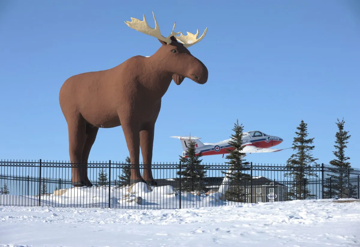 Quebec Town’s Moose Statue Won’t Seek to Supplant Moose Jaw’s Famous Mac