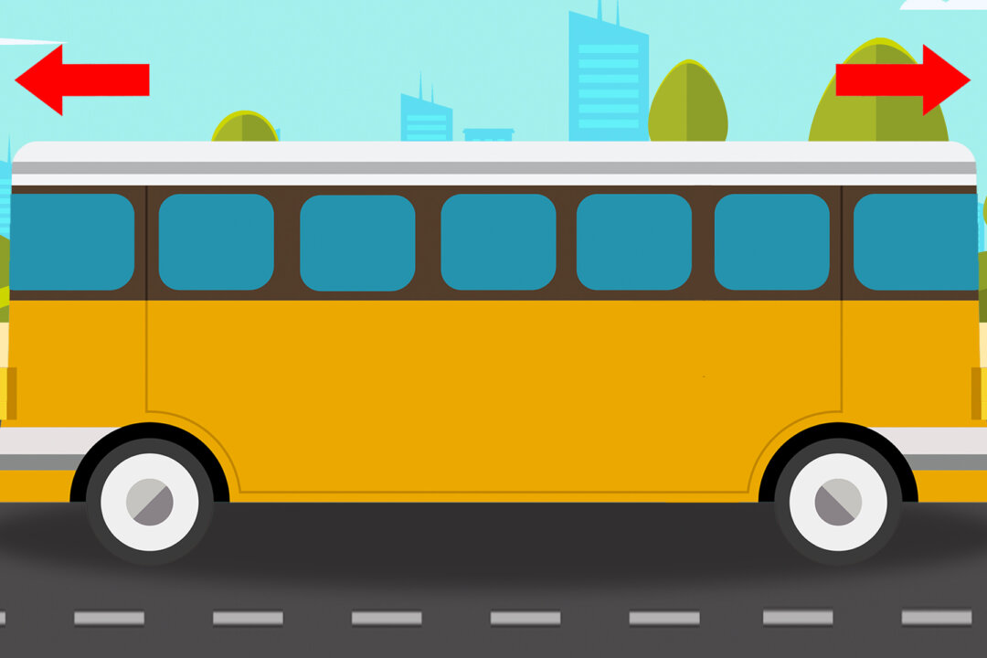 Which Direction Is This Bus Traveling? 80 Percent of Children Under 10 ...
