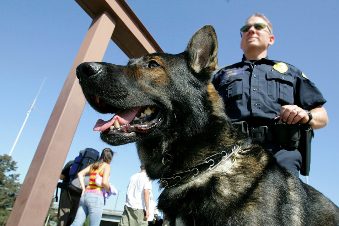 California’s Plan to Ban Police Dogs for Crowd Control, Arrests Stalls ...
