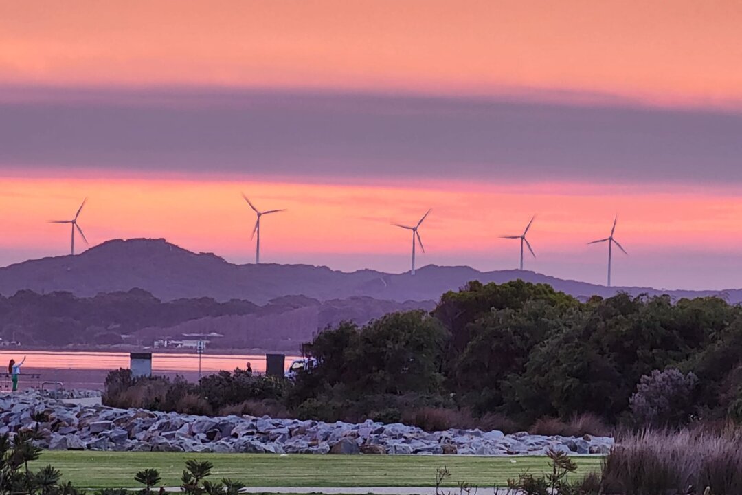 Monica O’Shea - Journalist Profile - Intelligent Relations