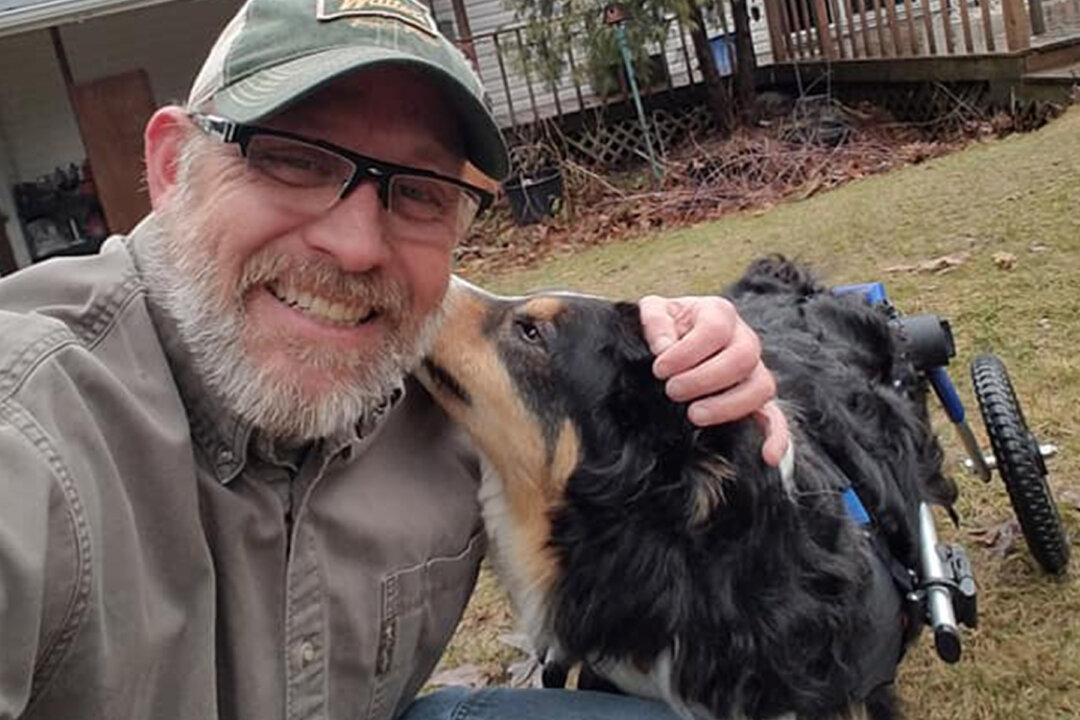 Man Goes on a Mission to Give Injured Animals a Second Chance at Life ...