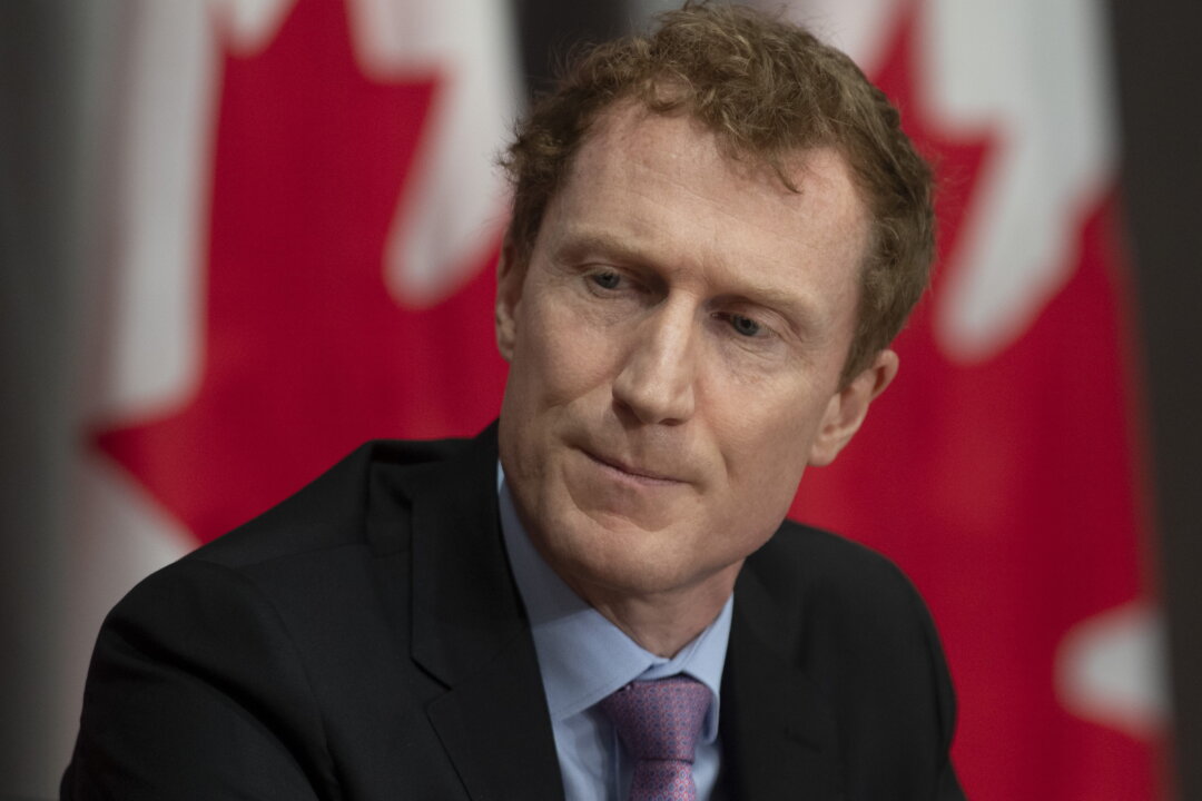 Minister Says He Didn’t Know About Grant to Group That Hired Consultant ...