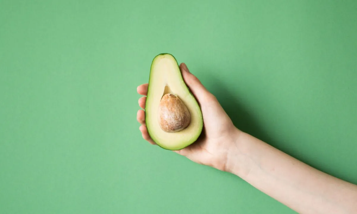 Love Avocados? Thank the Toxodon
