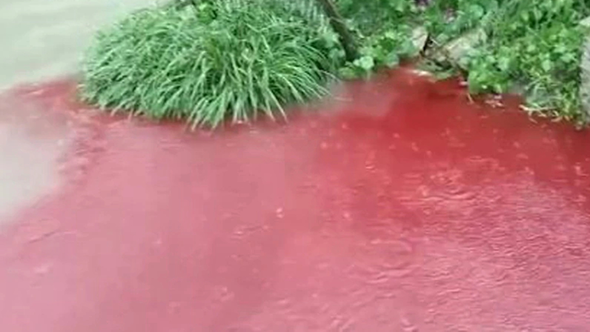 China In Focus (Aug. 17): Chinese River Tainted, Turned Blood Red | EpochTV