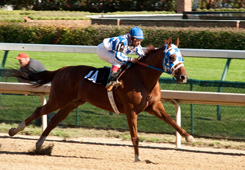 Popcorn and Inspiration: ‘Secretariat’: The Greatest Who Ever Lived ...