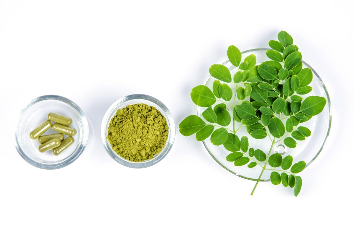 What Are The Benefits Of Moringa Oleifera 