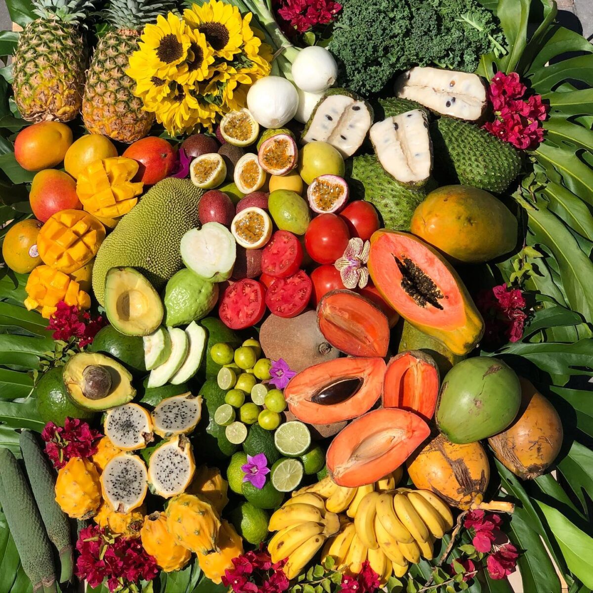 Beyond South Beach: Fun Day Trips From Miami