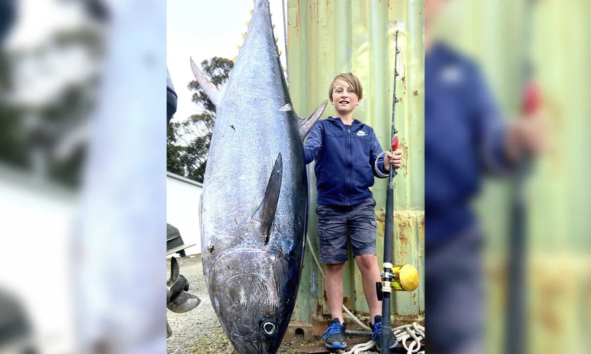 10-Year-Old Boy Snags Massive 200lb Tuna Off the Coast of Tasmania ...