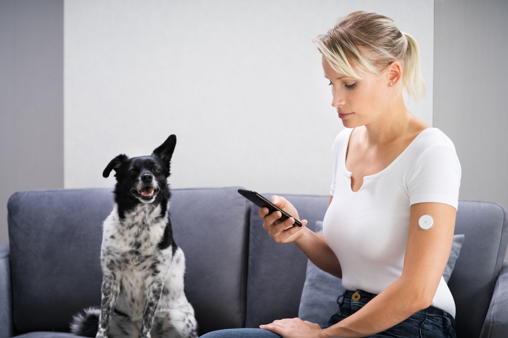 Ask The Vet Monitor Diabetic Pet s Blood Sugar Levels At Home