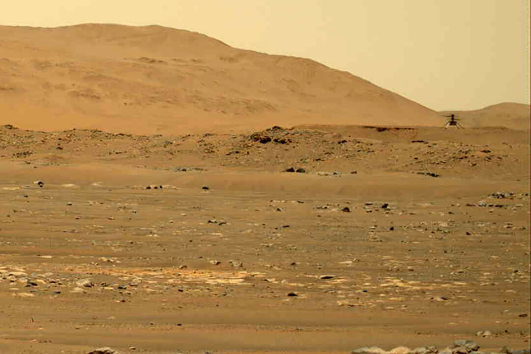 NASA Identifies Why Mars Helicopter ‘Ingenuity’ Crashed on Its Final ...