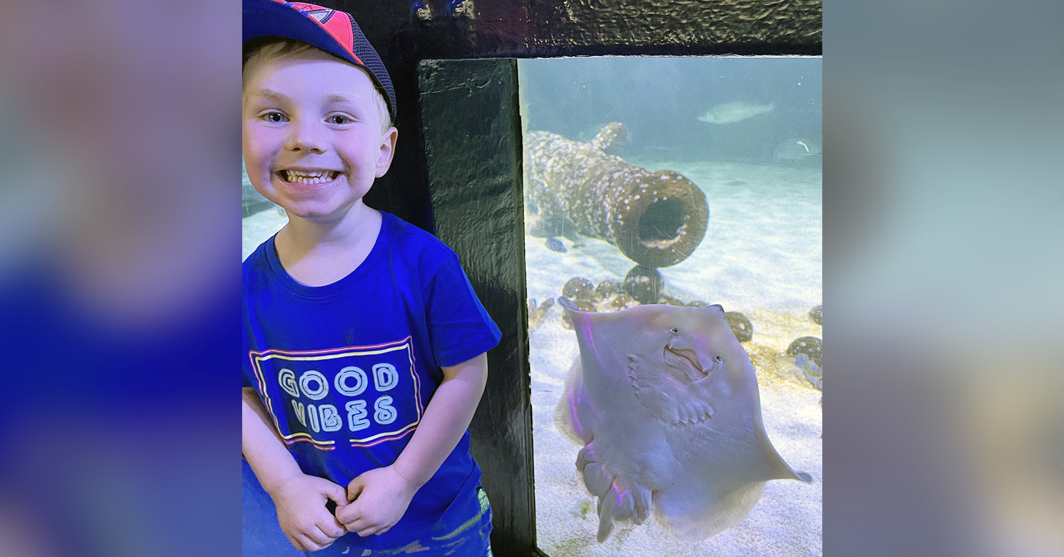 A ‘Really Happy’ Stingray Photobombs 3-Year-Old Boy During a Trip to ...