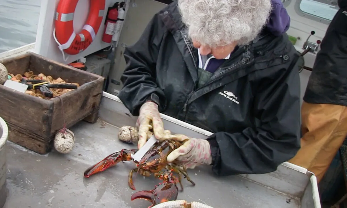 101-Year-Old Maine Woman Has Lobstered Since She Was 8—Claims She Will ...