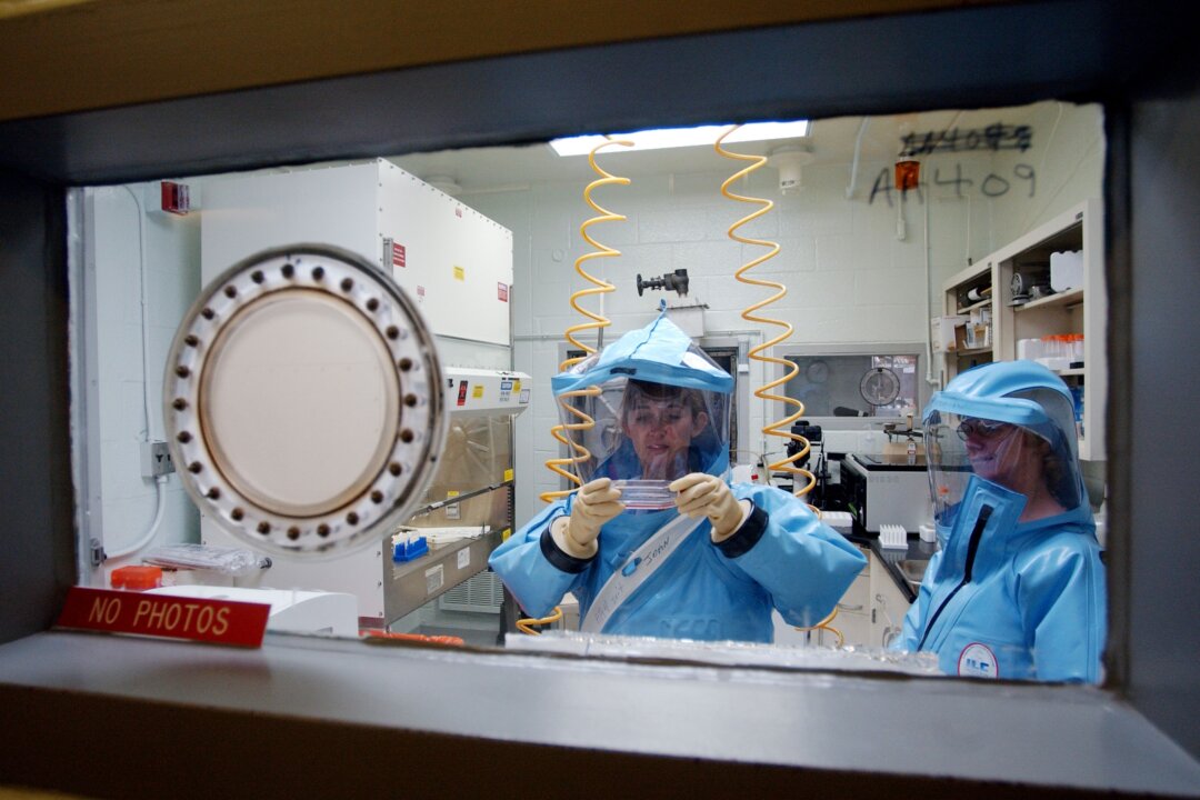 NIH Halts Work at High-Level Infectious Disease Laboratory | The Epoch ...