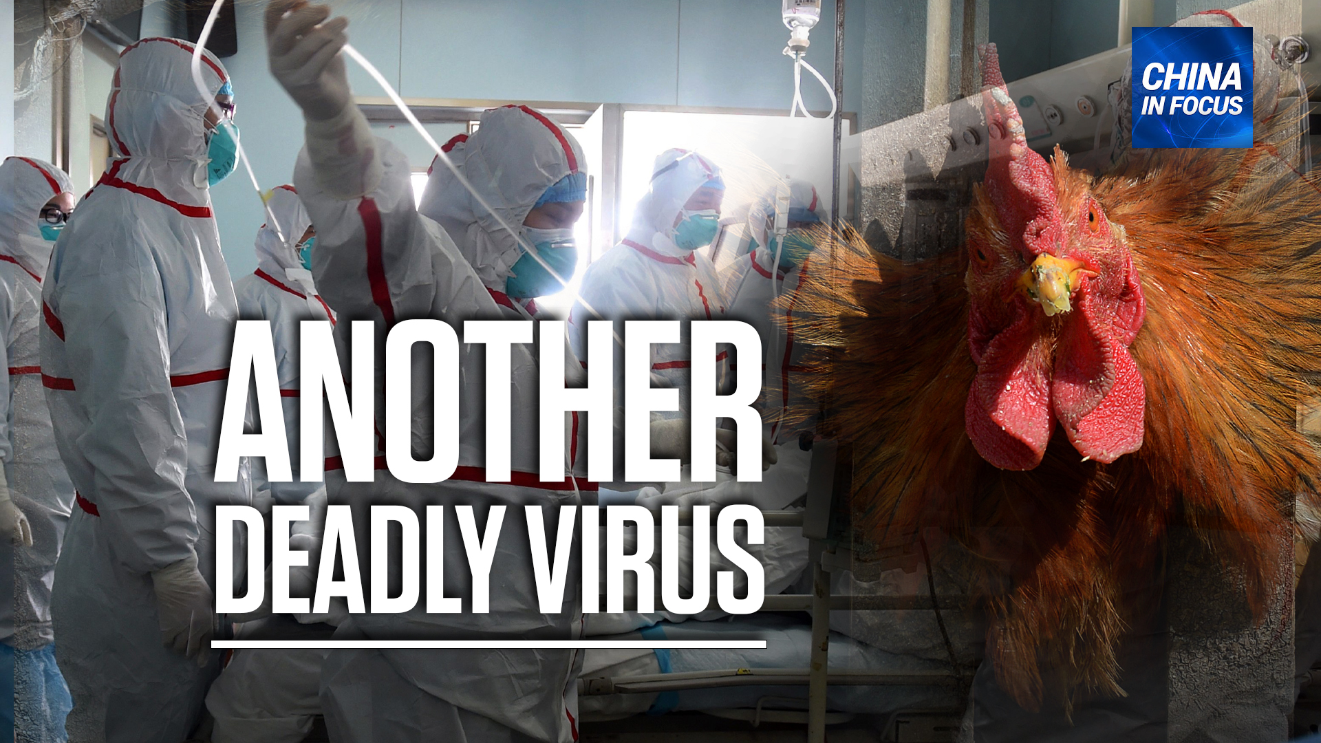 China Reports Human Case of Bird Flu | EpochTV