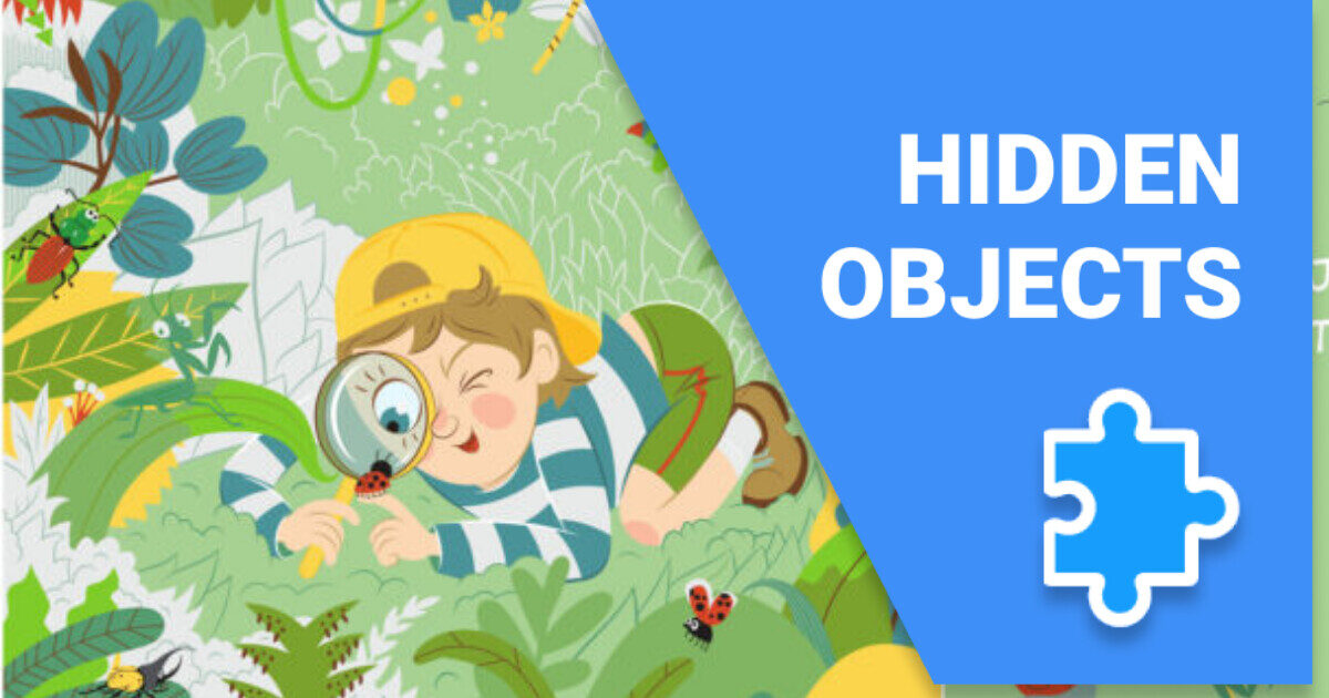 Hidden Objects: The Forest