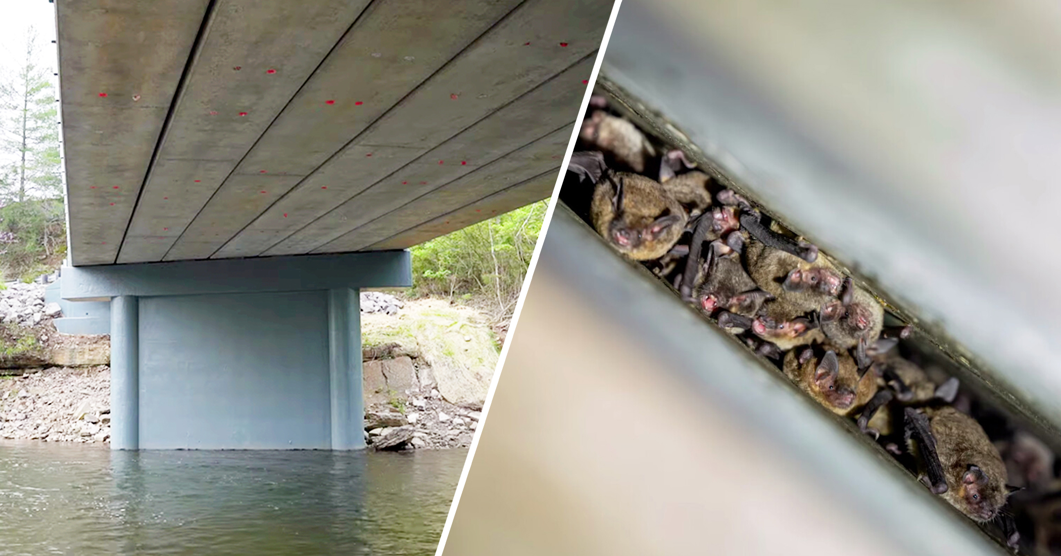 Basement Beams - The Best Picture Of Beam