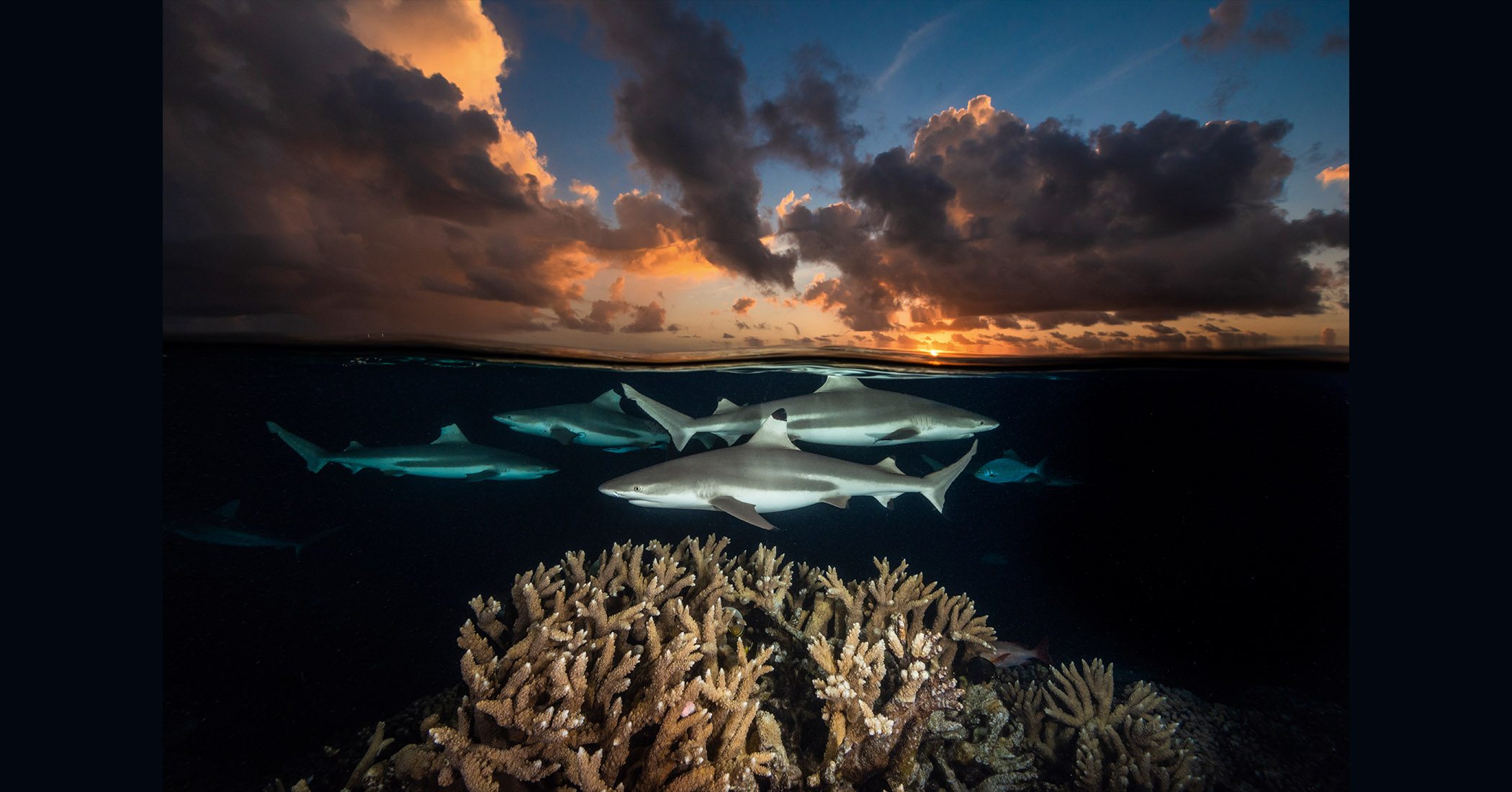 National Geographic Photographer Captures Sublime Shots of 2 Worlds ...
