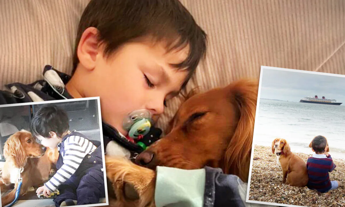 Autistic Boy Never Spoke a Word or Showed Emotion—Until Parents Got a ...