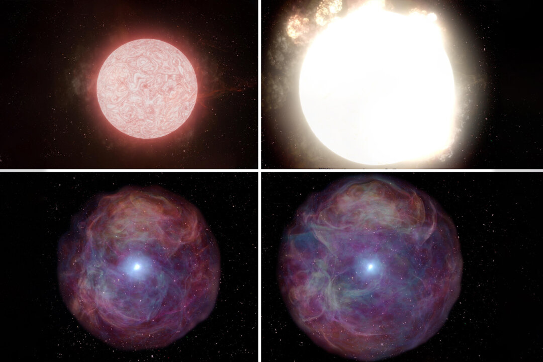 VIDEO: Astronomers Watch Red Supergiant 10X Bigger Than Our Sun Explode ...