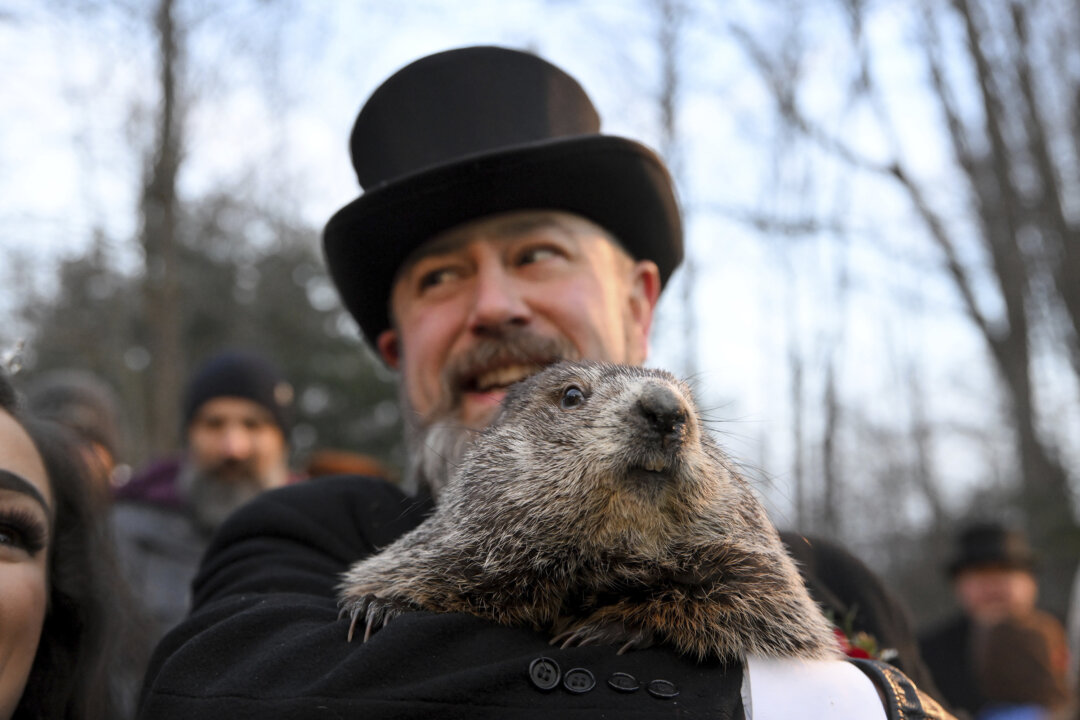 How a Groundhog Became America’s Most Famous Meteorologist | The Epoch ...