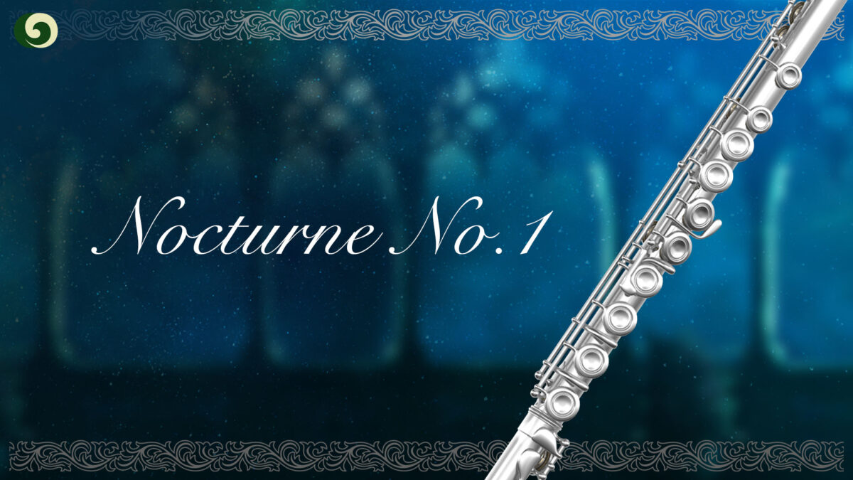 Beautiful and Peaceful Nocturne to Accompany the Night | Musical Moments