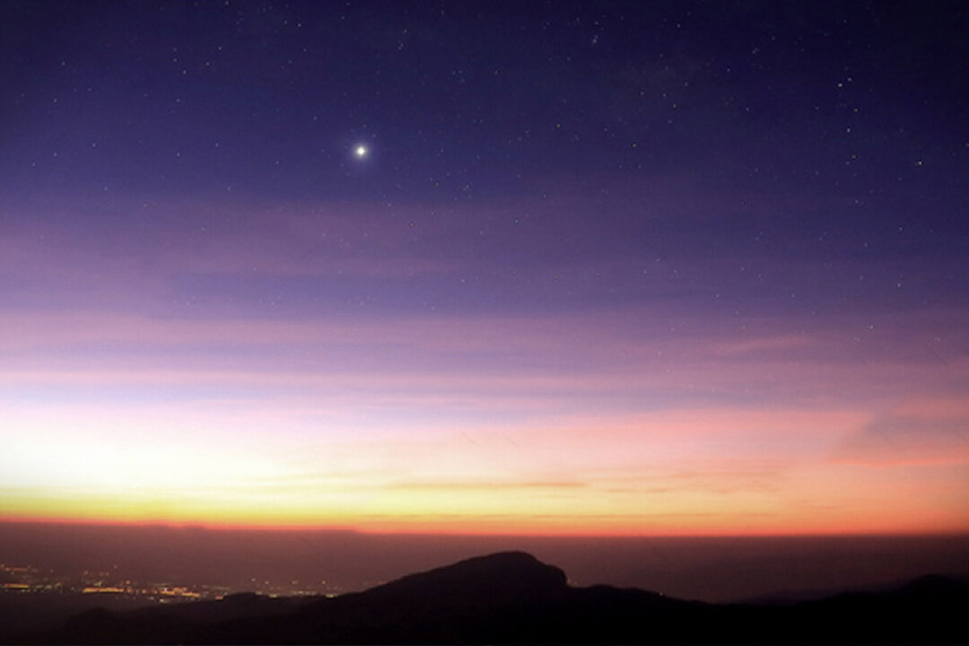 ‘Morning Star’ Venus to Shine Its Brightest From Wednesday Morn—With ...