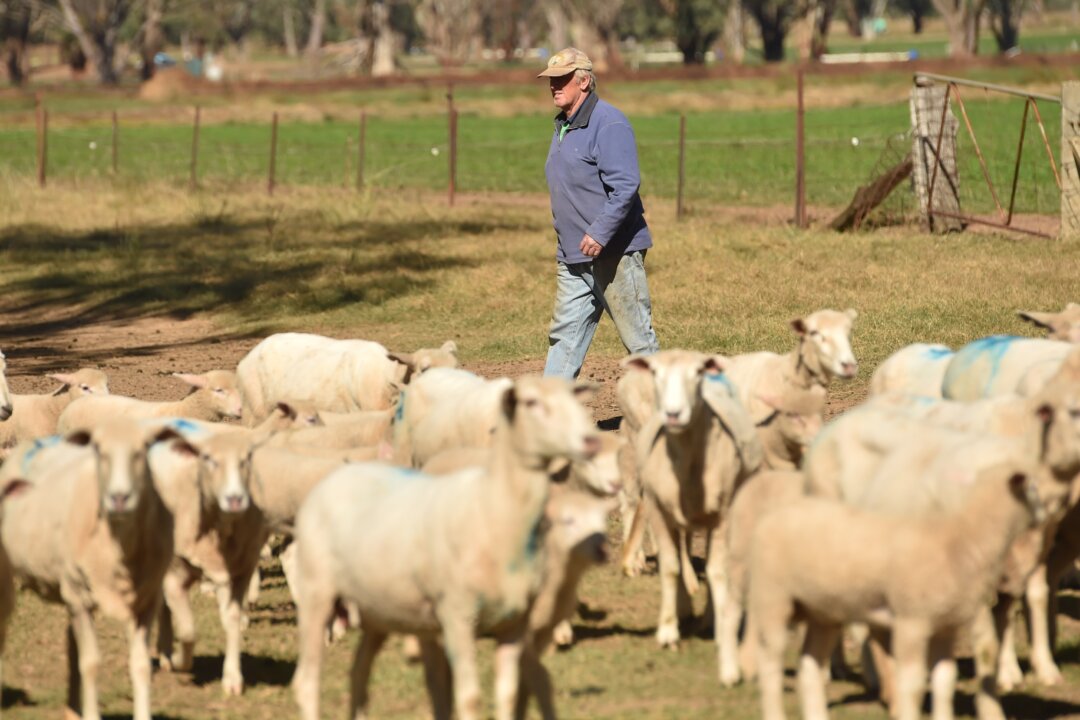 Towards Zero Fatalities: Aussie Farmers Urged to Be Mindful of Safety ...