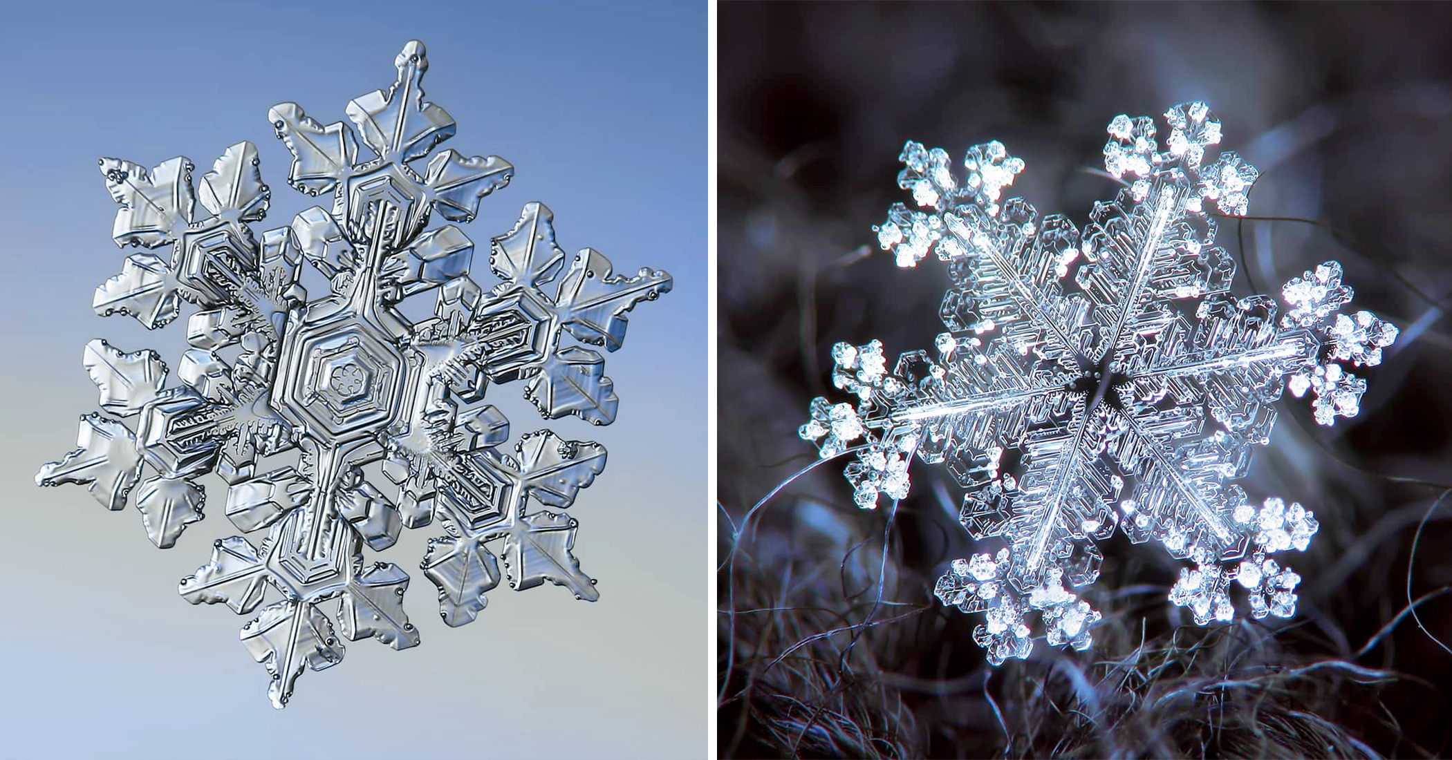 Macrophotographer Snaps Snowflakes Up Close—And the Results Over Past ...