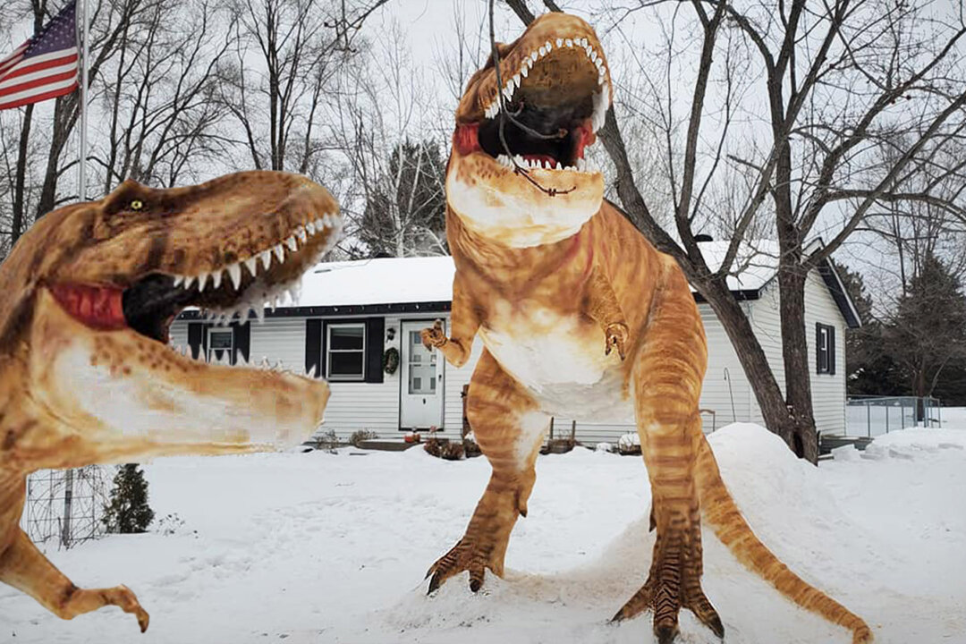 Minnesota Man Builds Huge Roaring Snow T-Rex Dinosaur on Front Lawn ...