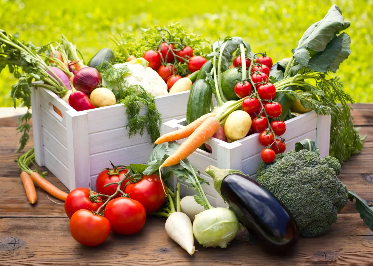 The Best Vegetable Seed Catalogs For Gardeners the-best-vegetable-seed-catalogs-for-gardeners