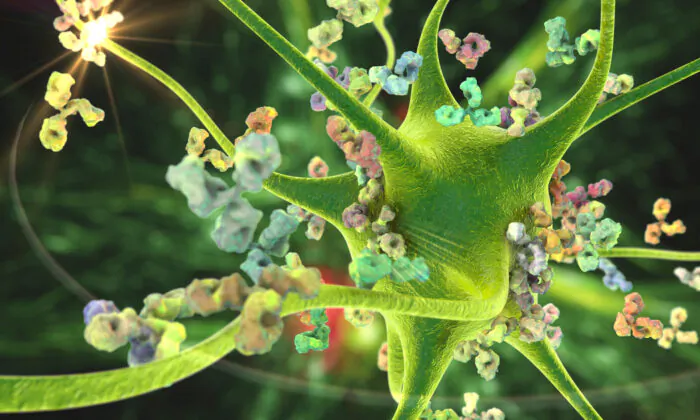 The Purpose of Natural Autoimmunity