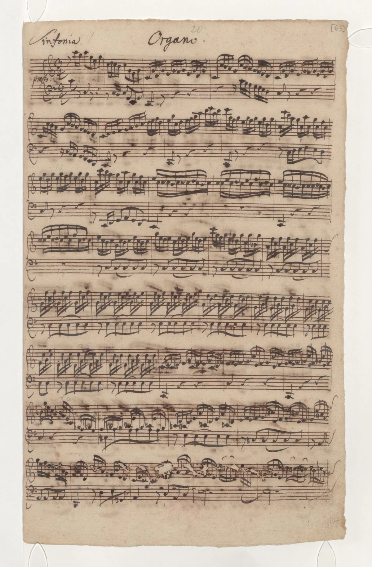 Bach: The Mark of a Genius