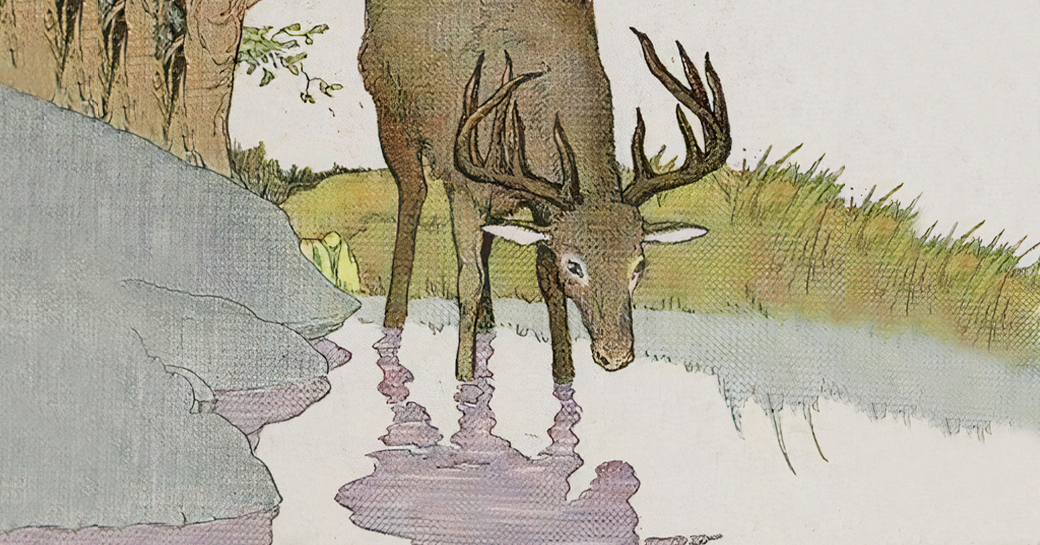 Aesop’s Fables: The Stag and His Reflection