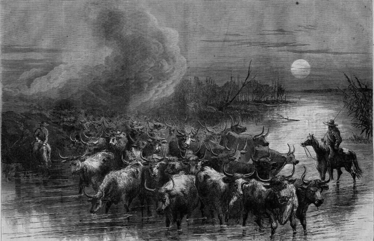 American Pioneer Adventures: Nelson Story Led The Longest Cattle Drive ...
