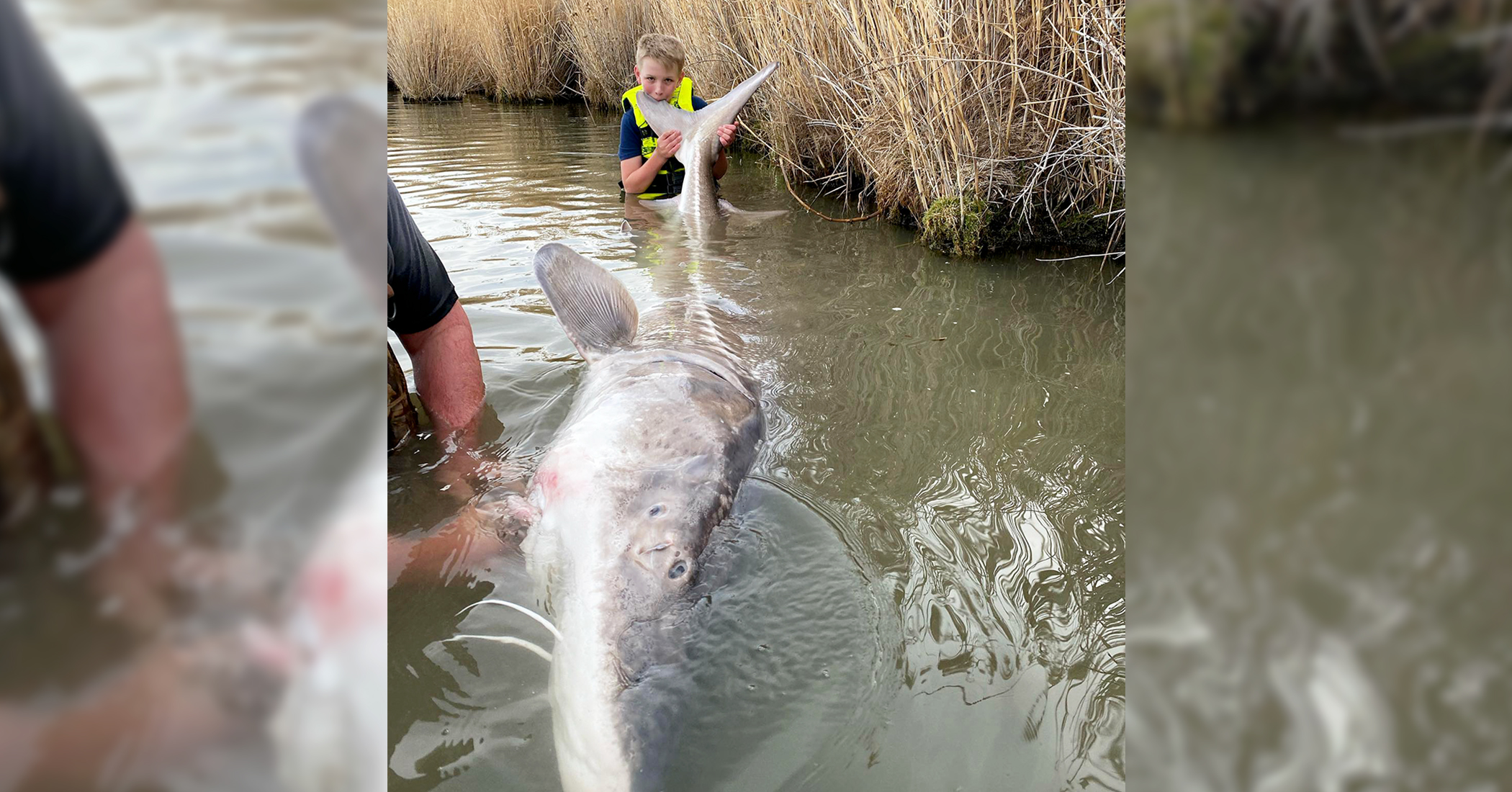 12-Year-Old Angler in Idaho Reels in 10-Foot Monster Sturgeon, Ties ...