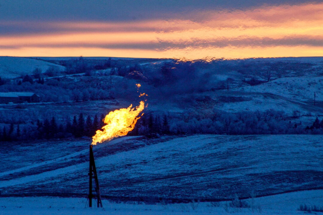 Americans to Pay $930 for Natural Gas This Winter: US Energy ...