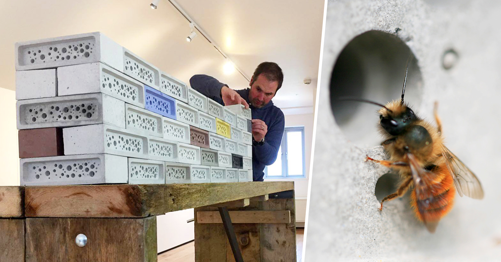 Could Bee-Friendly Bricks Save Bees? Inventor Makes Homes for ...
