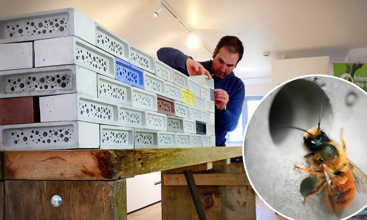 Could Bee-Friendly Bricks Save Bees? Inventor Makes Homes for ...