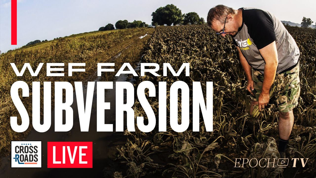 Netherlands Partnered with WEF to Subvert Global Food Ahead of Farm ...