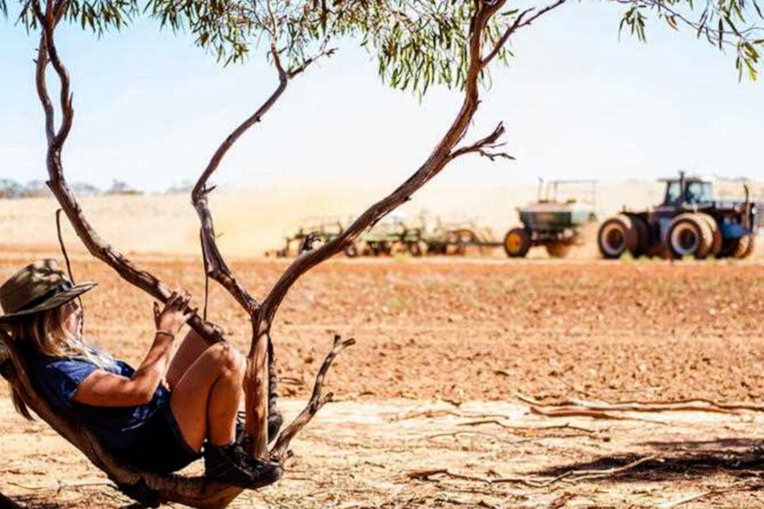 Mildura Emerges as Australia’s Richest Farming Region | The Epoch Times